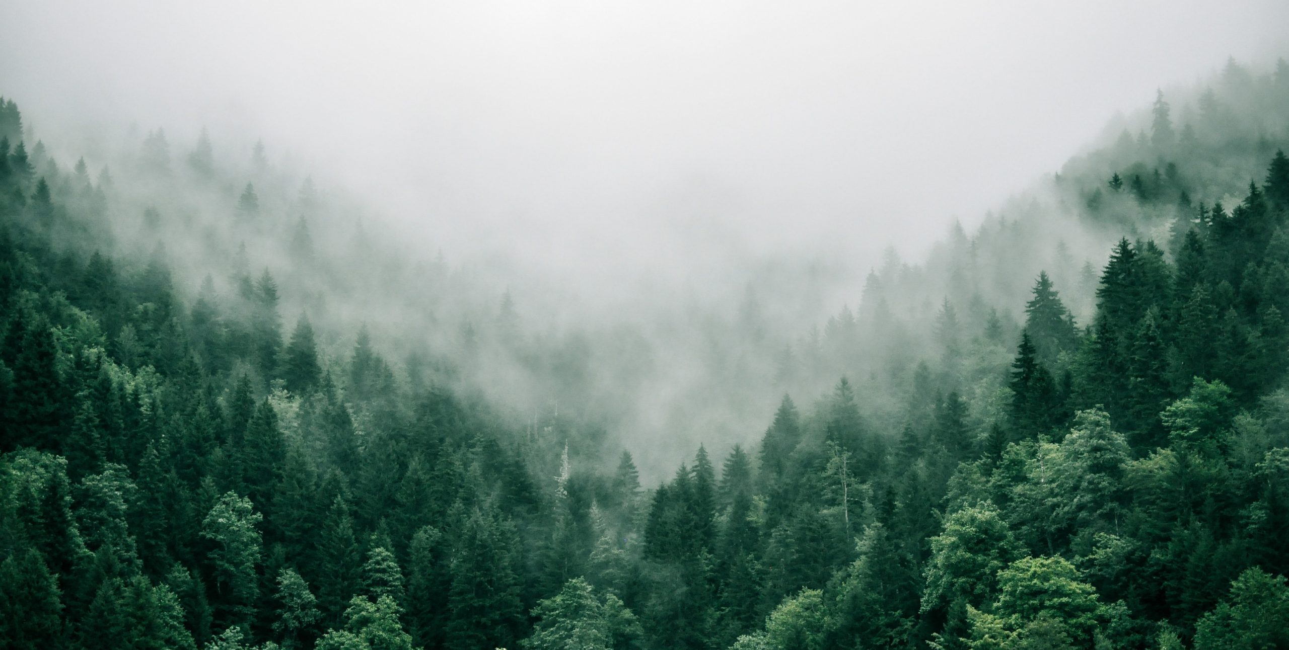 European Green Deal: 8 key policy areas | Enhesa