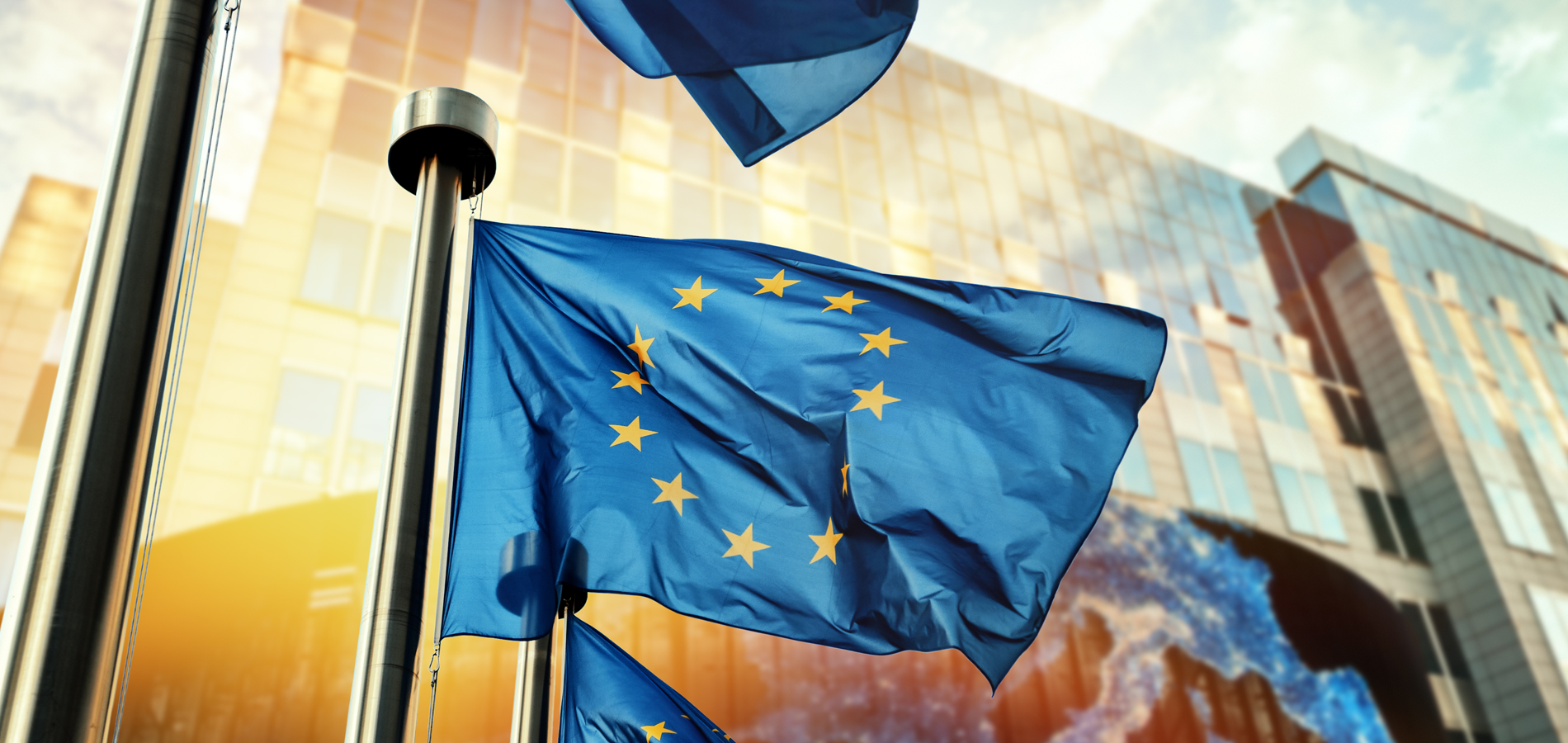 REACH compliance explained | Enhesa