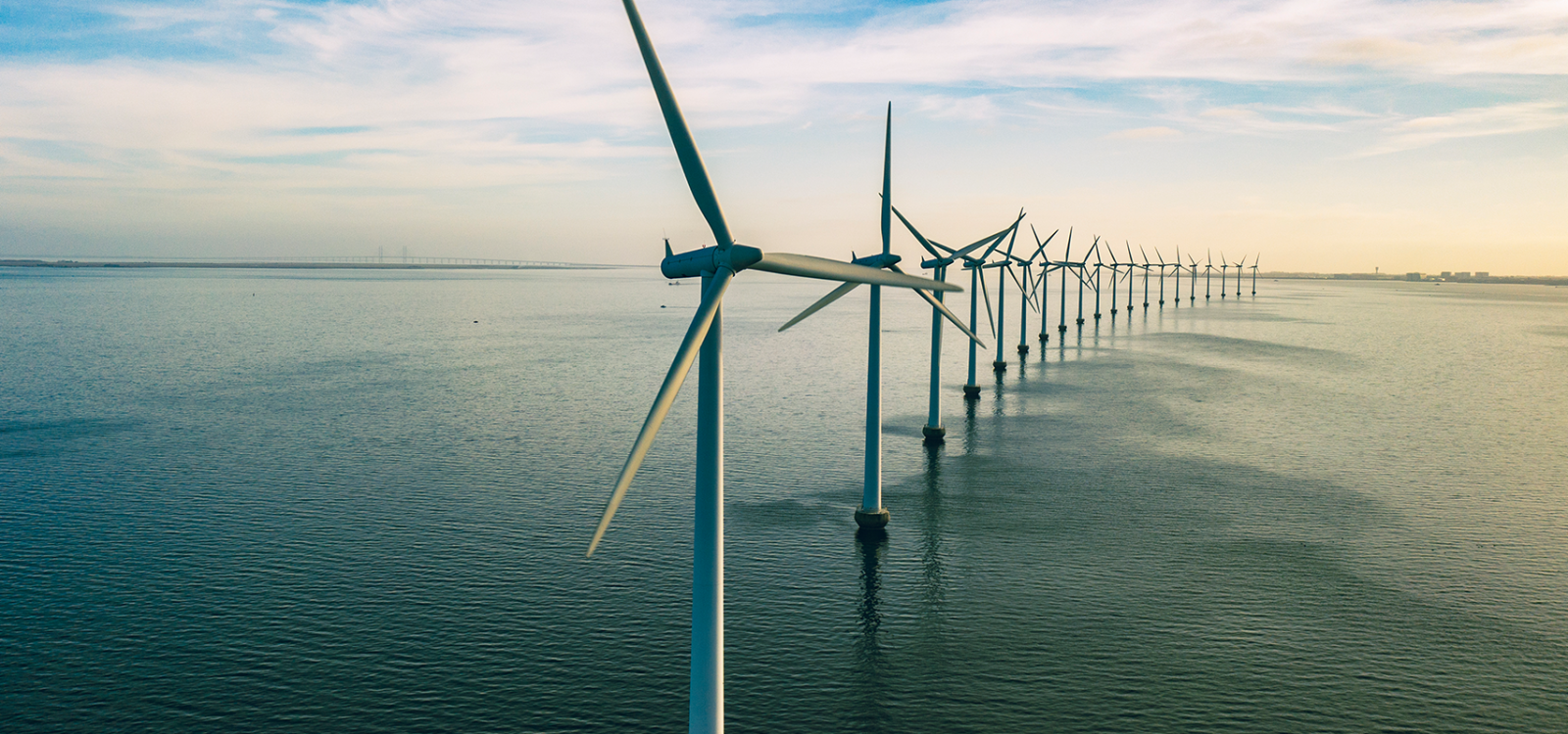Sustainability compliance | Enhesa