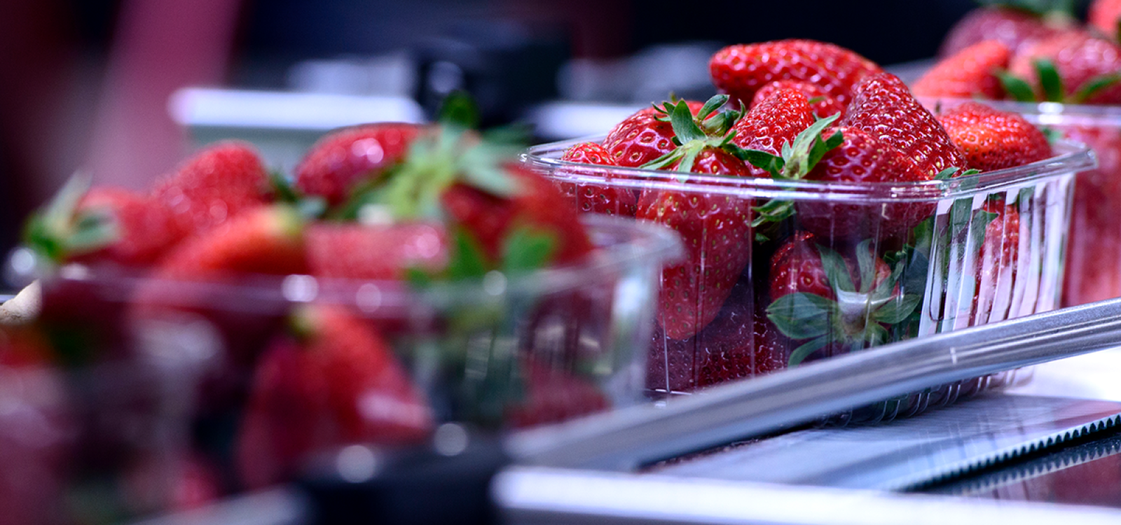 Product Intelligence | Enhesa